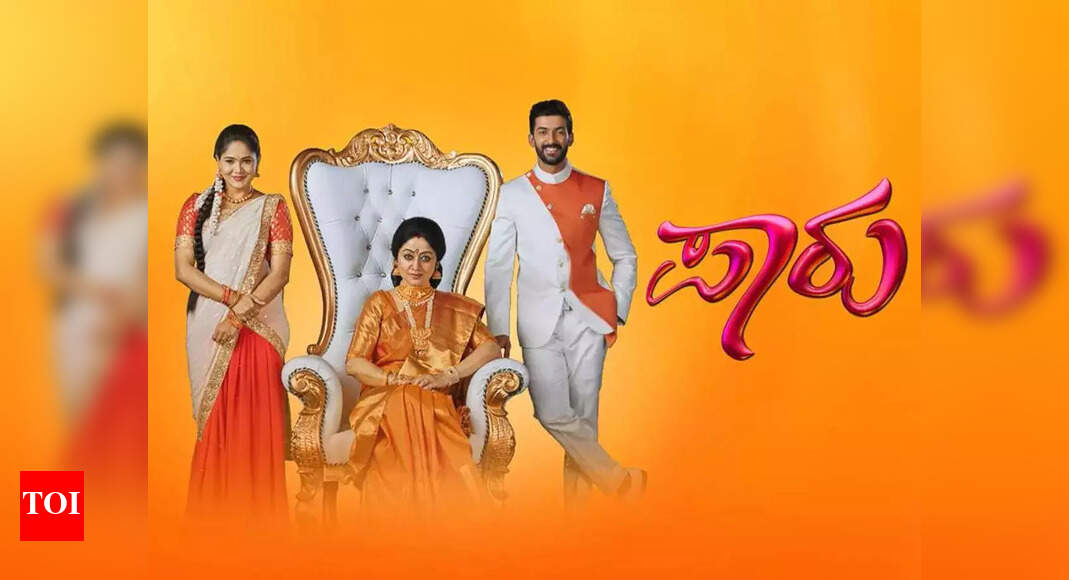 Daily soap 'Paaru' completes 1000 episodes; here's what the lead actors ...