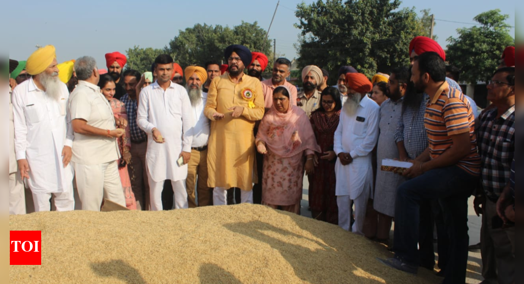 To promote moong and maize crops, processing and dryer plants to come ...