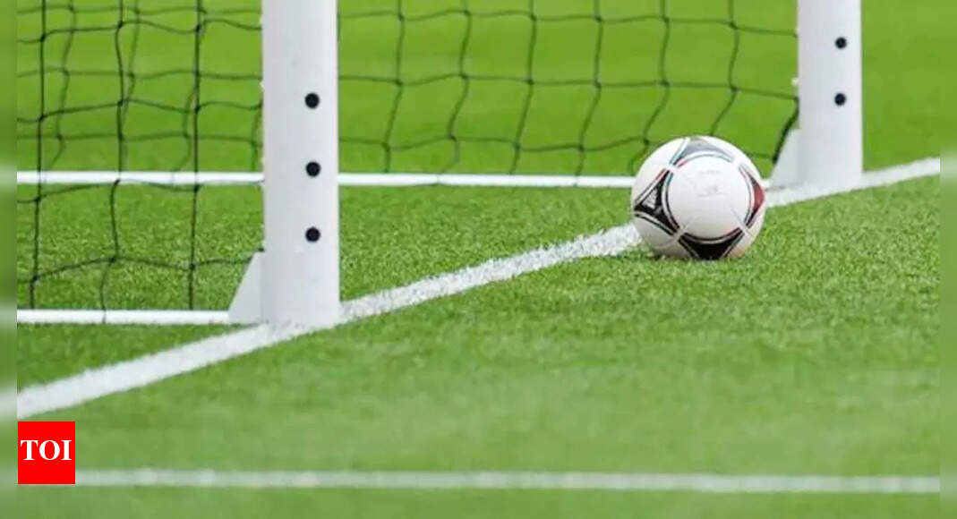 Nazi salute football fan banned for life in Australia | Football News ...