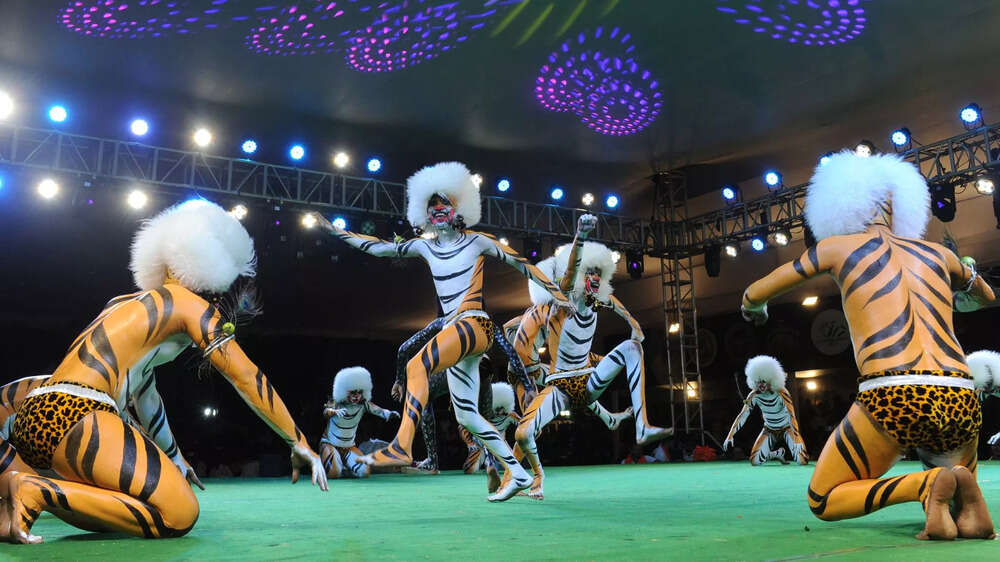 Tiger dancers enthrall Mangalureans | The Times of India