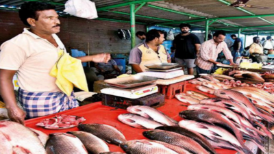 Makarba: Ahmedabad: Fish market project moved from Asarwa to Makarba ...