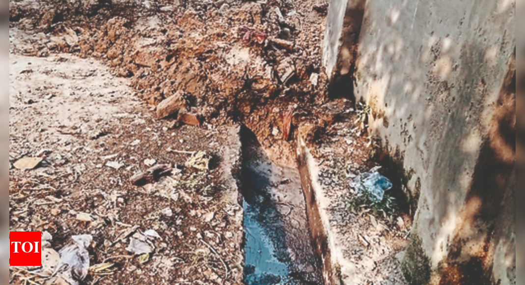 Rwa: Drains Are Permanently Clogged Here: Sec 51 Rwa | Noida News ...