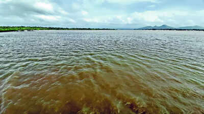 Water Resources Dept Starts Work To Mark ‘excess Land’ Around Vaitarna ...