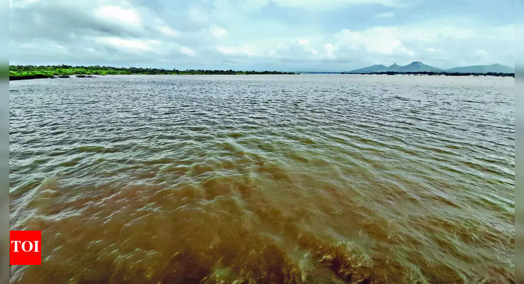 Vaitarna: Water Resources Dept Starts Work To Mark ‘excess Land’ Around ...