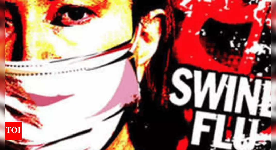 Mask Up: Influenza, Swine Flu On The Rise | Hyderabad News - Times of India