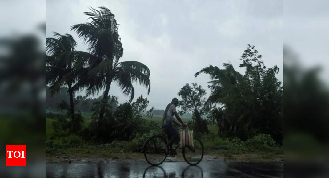 Rains damage standing crops in Andhra Pradesh | Visakhapatnam News ...