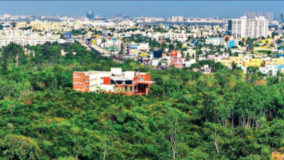 Concrete jungle is slowly pushing wildlife out of Chennai | Chennai ...