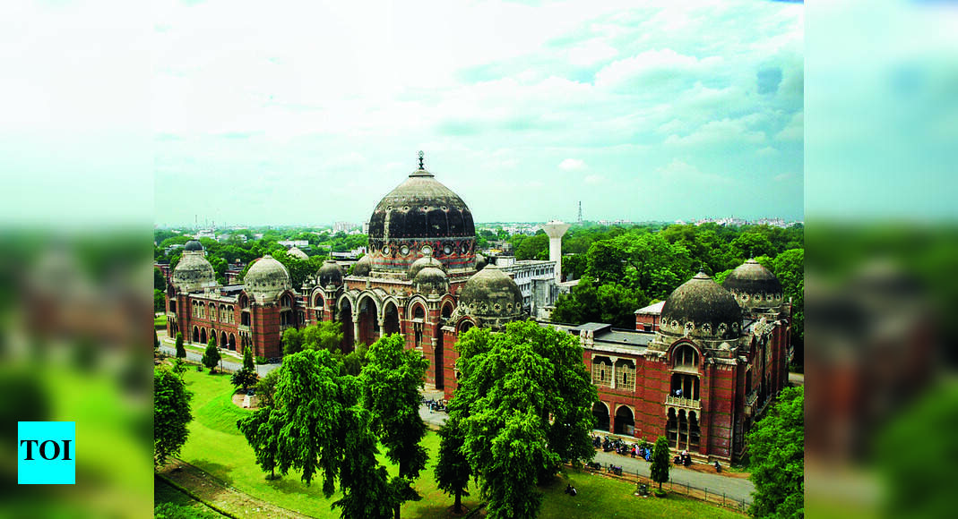 Msu’s Bright Stars To Get Gold Medals Soon | Vadodara News - Times of India