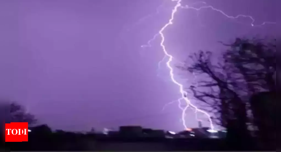 Rajasthan: 4 dead, 7 injured in lightning strikes | Jaipur News - Times ...