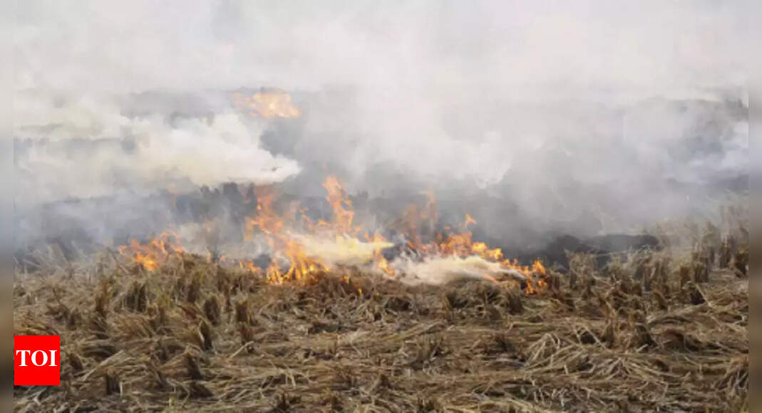 Action against village head for hiding stubble burning cases: DM Shamli ...