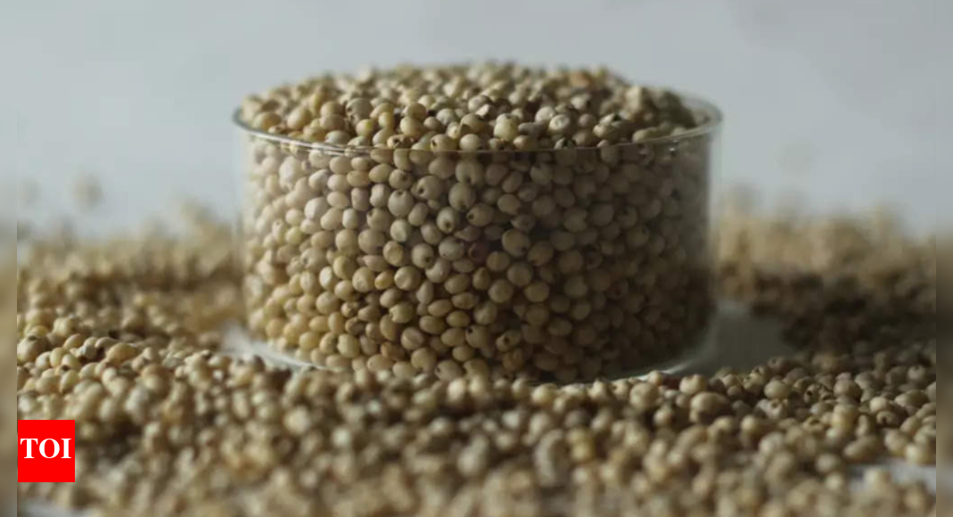 Bajra: Bajra From Other States? Govt To Keep Watch | Gurgaon News ...