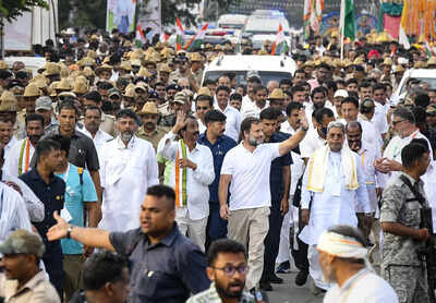 If DK Shivakumar and Siddaramaiah work together, Congress will win hands down next year: Rahul ...
