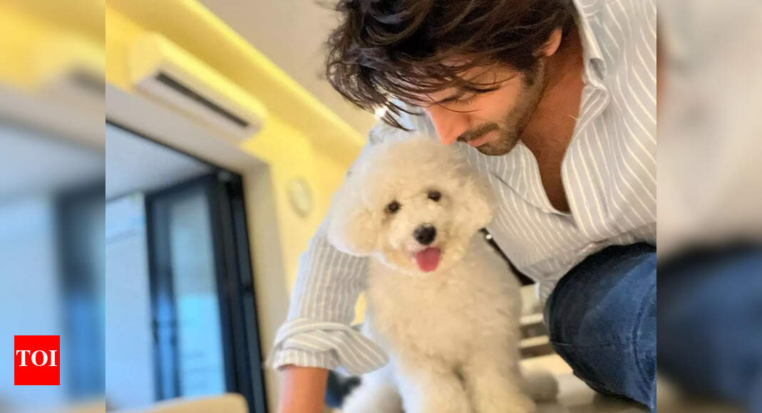 Check out Kartik Aaryan's latest picture with his pet Katori | Hindi ...