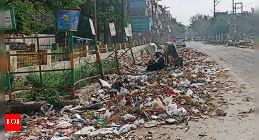 Ghaziabad: Waste dumped on Govindpuram roads, ‘no strict action to curb ...
