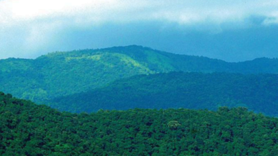 Goa: Forest department to use rainwater to revive degraded forest ...
