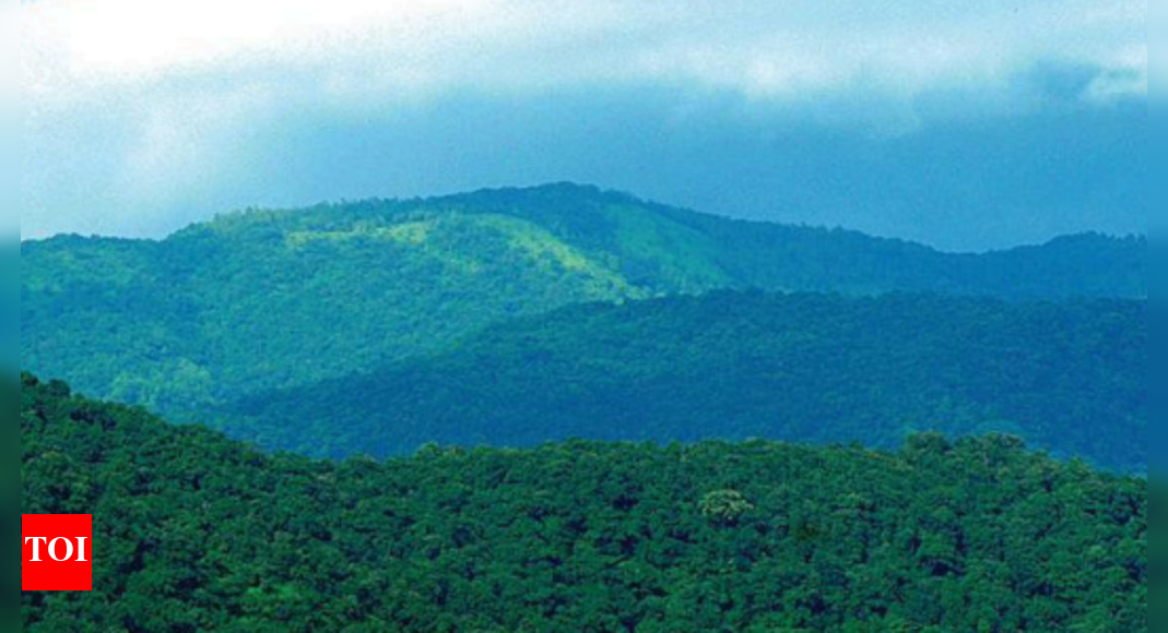 Goa: Forest department to use rainwater to revive degraded forest ...