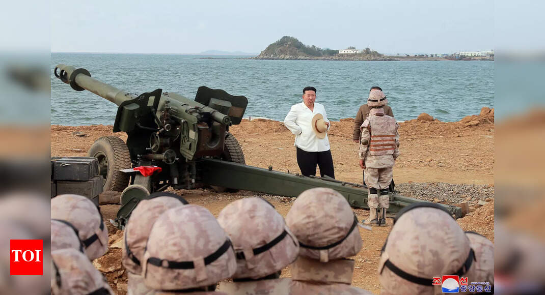 North: North Korea's tactical nukes: Five things to know - Times of India