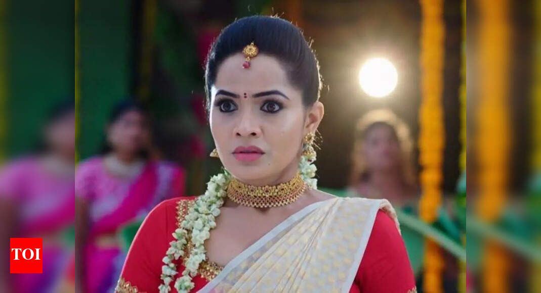 Karthika Deepam preview: Monitha's plan backfires; Karthik's suspicion grows - Times of India