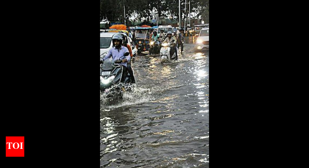 More rain in south Bihar for 2 days: Met | Patna News - Times of India