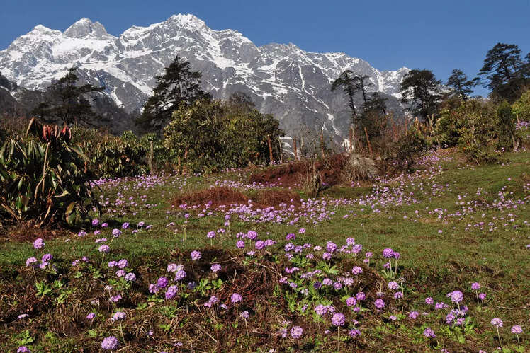 A first-timer's guide to North Sikkim | Times of India Travel