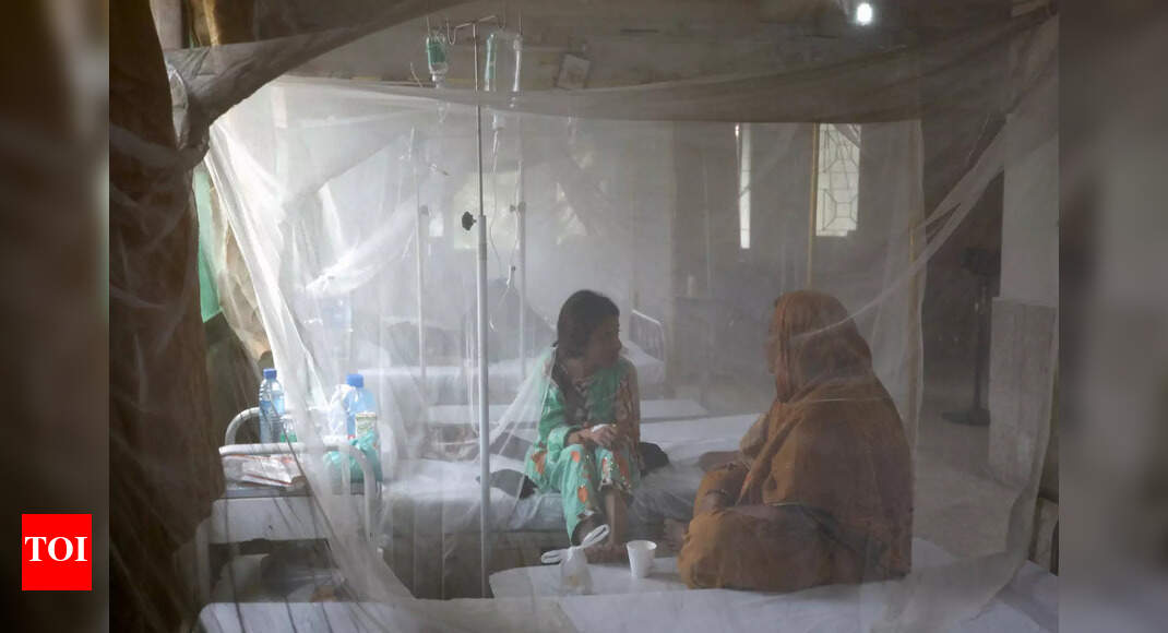 Flood-hit Pakistan to purchase over 6 million mosquito nets from India ...