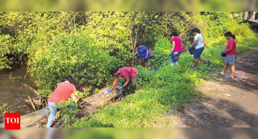 Scientists warn of plastic pollution in seawater | Goa News - Times of ...