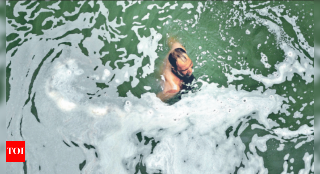 Yamuna so polluted that Noida won't release fish in water | Noida News ...