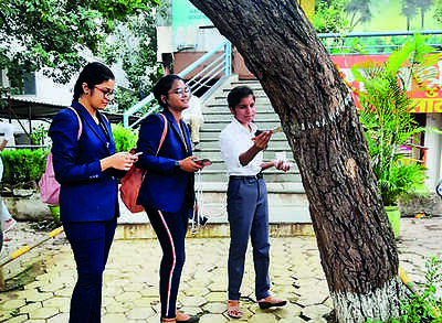 25,000 Trees Recorded During Census In Aurangabad So Far | Aurangabad ...