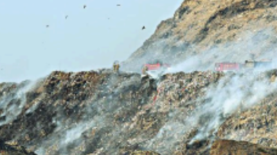 Delhi: By 2025, new waste-to-energy plant may help halt dumping at ...