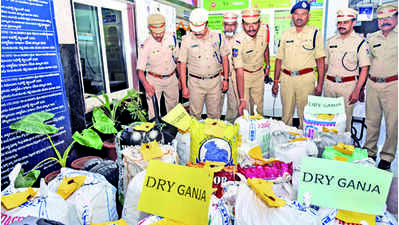 Ganja Worth ₹76l Seized, 4 Arrested | Hyderabad News - Times of India
