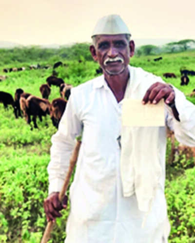 Dhangars Write To Cm For Grazing Rights In Forests, Access To Tiger ...