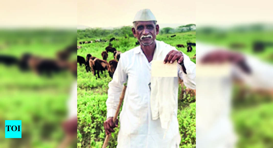 Dhangars Write To Cm For Grazing Rights In Forests, Access To Tiger ...