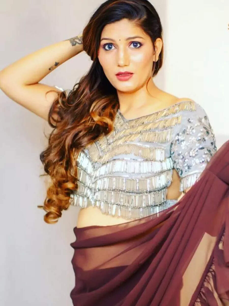 Sapna Chaudhary's top 10 iconic saree looks | Times of India