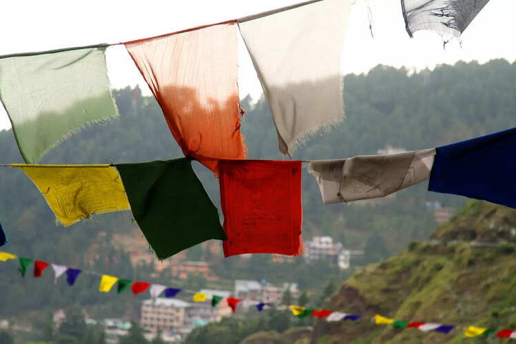 These stunning photos from Himachal will leave you travel stoked ...