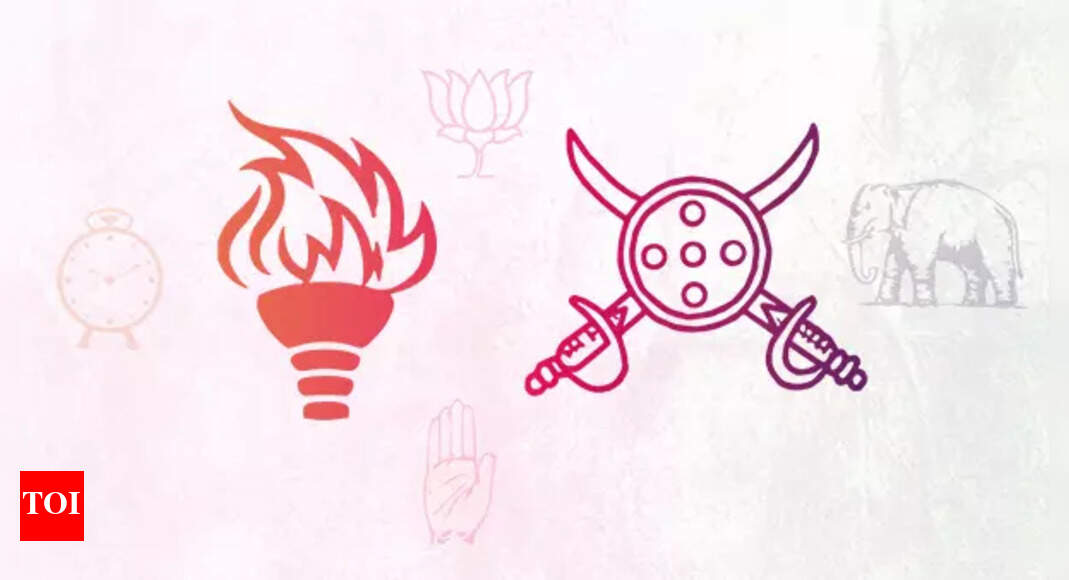 When election symbols led to killing of birds | India News - Times of India