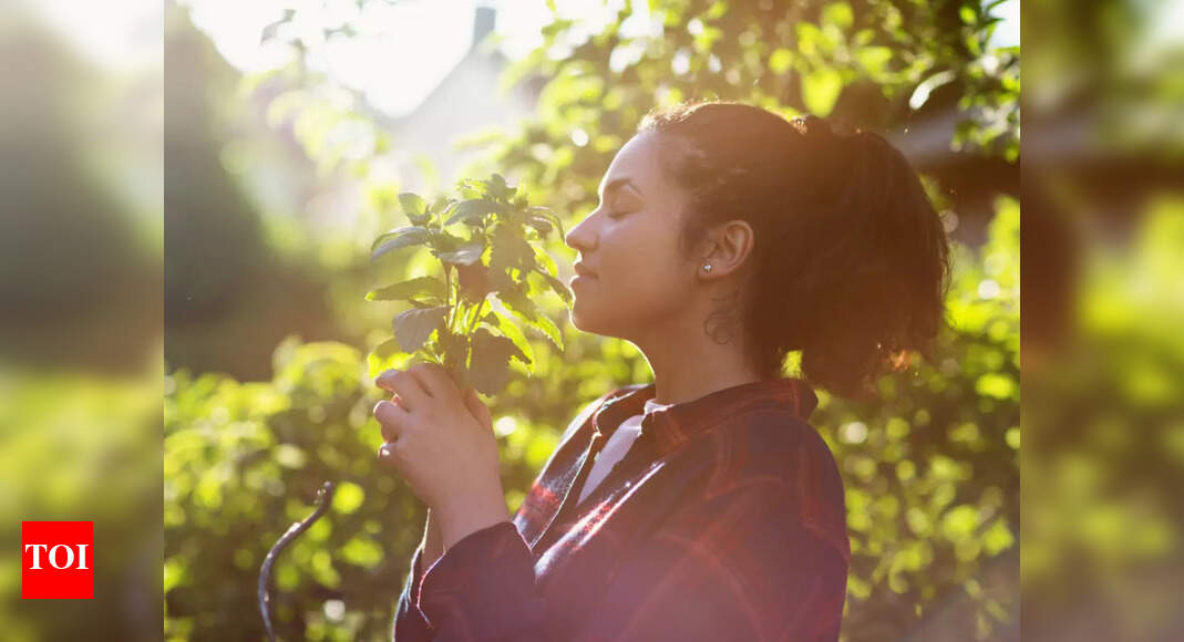 How lemon balm helps in getting glowing skin - Times of India