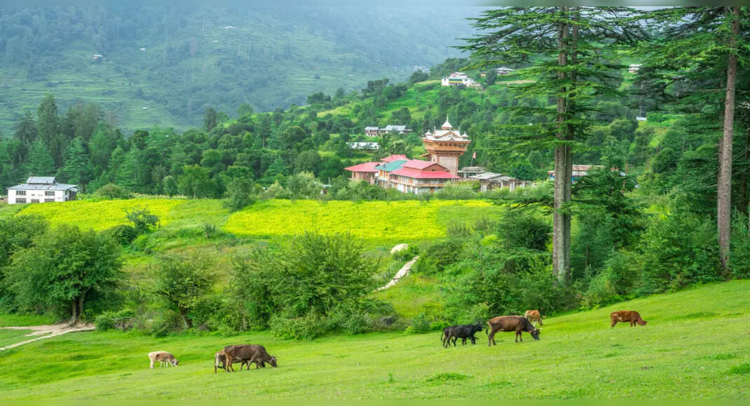 Perfect hill getaways in North India for the long Diwali weekend ...