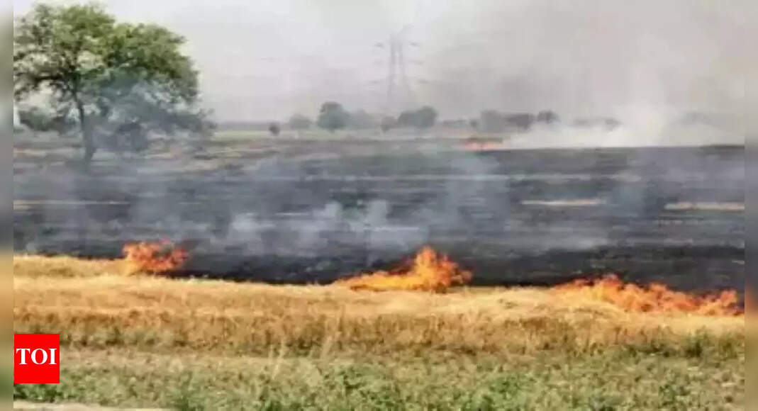 Farm fires taking effect, AQI likely to turn poor in Delhi | Delhi News ...