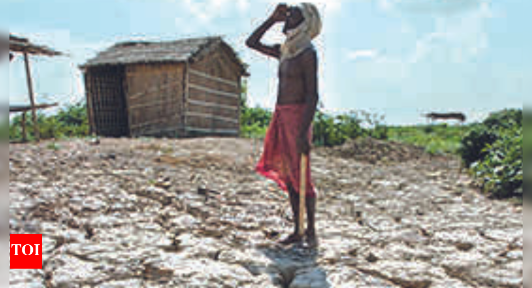 Bihar govt OKs Rs 500-crore aid to 11 drought-hit districts | Patna ...