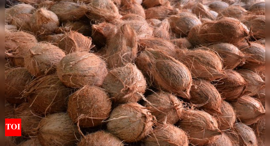 Centre committed to promote coconut farming and allied industry ... Centre committed to promote coconut farming and allied industry ...