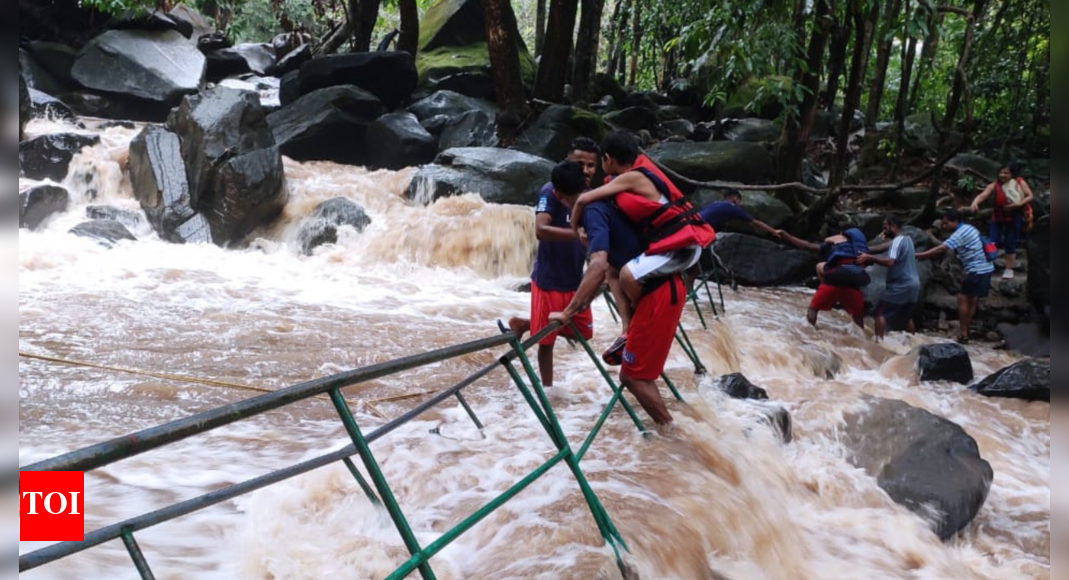 Goa: Over 40 visitors rescued at Dudhsagar waterfalls after cable ...