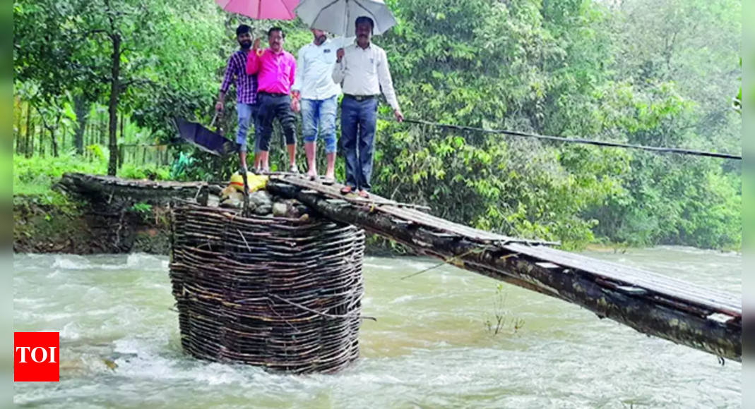 Andhra Pradesh: Tribals build own bridge | Visakhapatnam News - Times ...