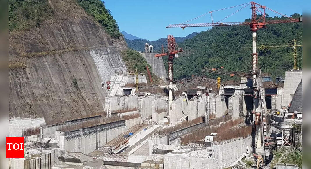 Northeast Diary: Why experts still not convinced about safety of this ...