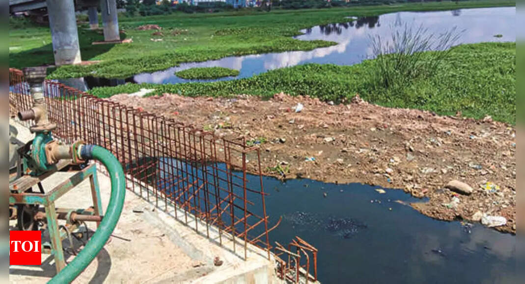 New Drain Being Used To Carry Sewage | Chennai News - Times of India