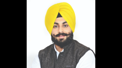 Bains: Bains Appointed Aap’s Himachal Incharge | Chandigarh News ...