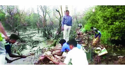 Illegal Bund On Panvel Creek Cleared To Save 2k Mangroves | Navi Mumbai ...