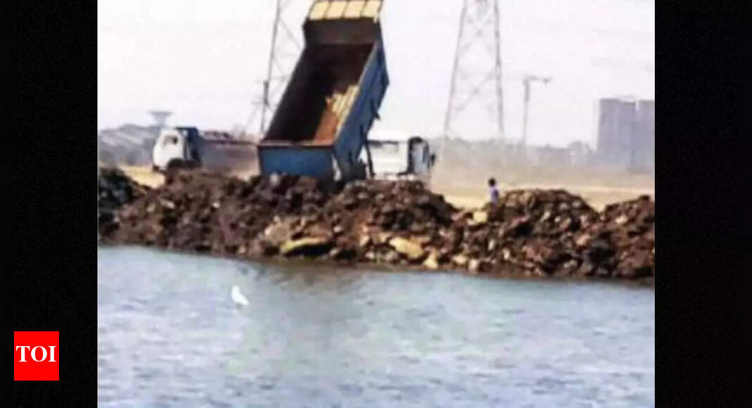 ‘Why wetlands of Uran labelled as man-made?’ | Mumbai News - Times of India