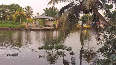 Demand To Construct Bridge Between Chennur & Pizhala | Kochi News ...