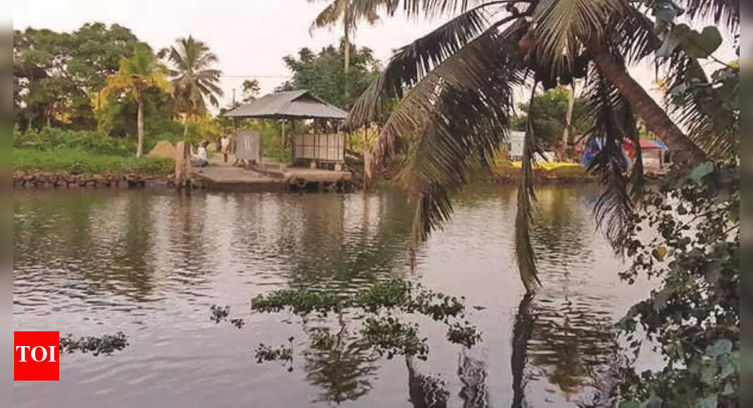 Chennur: Demand To Construct Bridge Between Chennur & Pizhala | Kochi ...