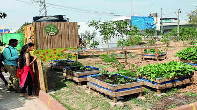 Cmc: C’nagar Cmc Pitches For Composting At Home | Mysuru News - Times ...